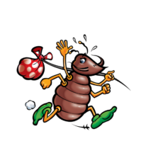 Controlice® - Eliminate and repel head lice